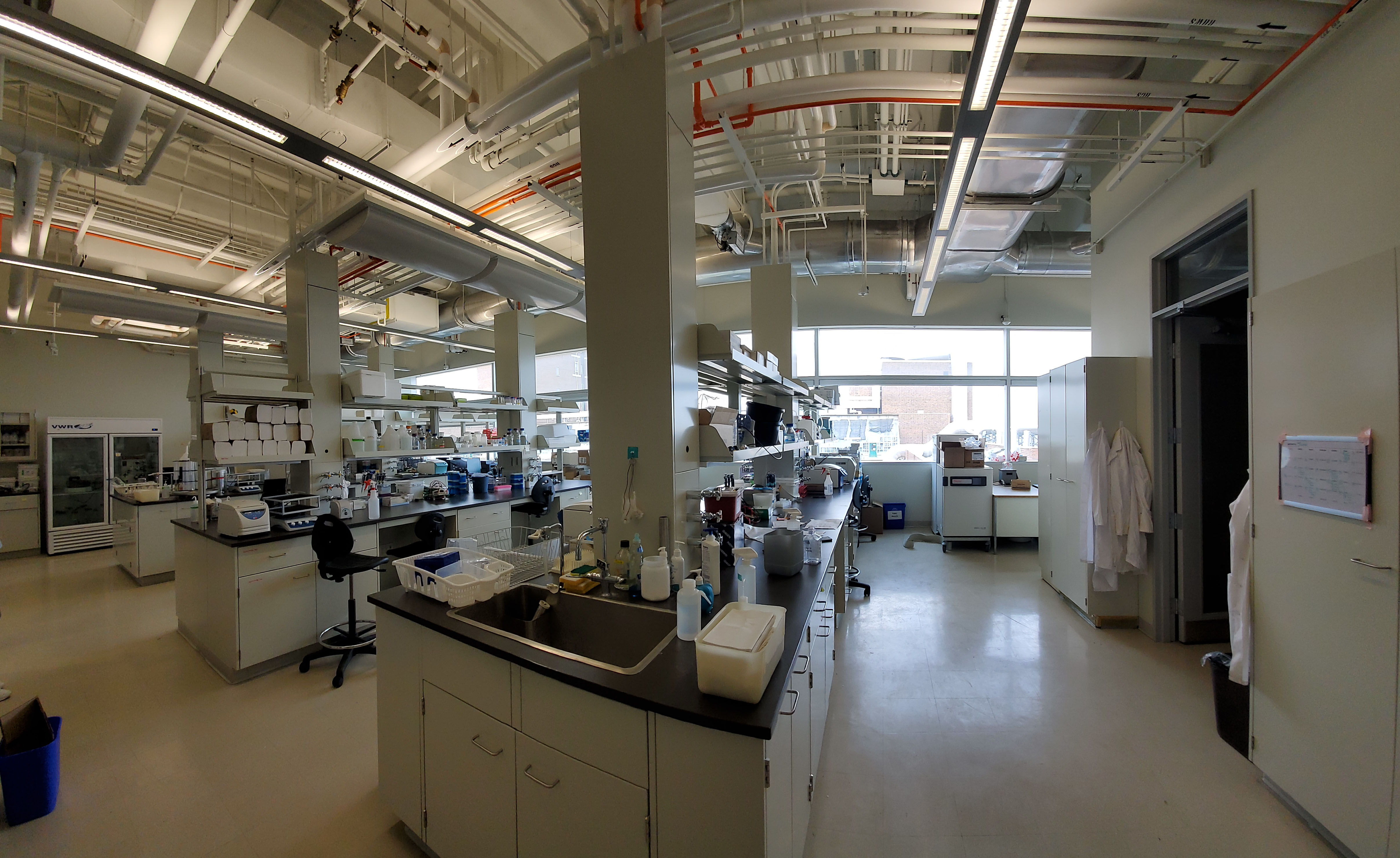 WillisGlycobiologyLab – Glyco-immunology in health and disease